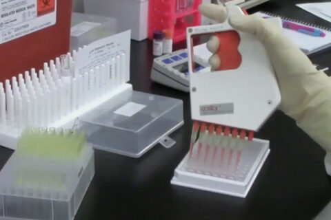 About Us | Helena Laboratories – Innovations for Science & Clinical ...